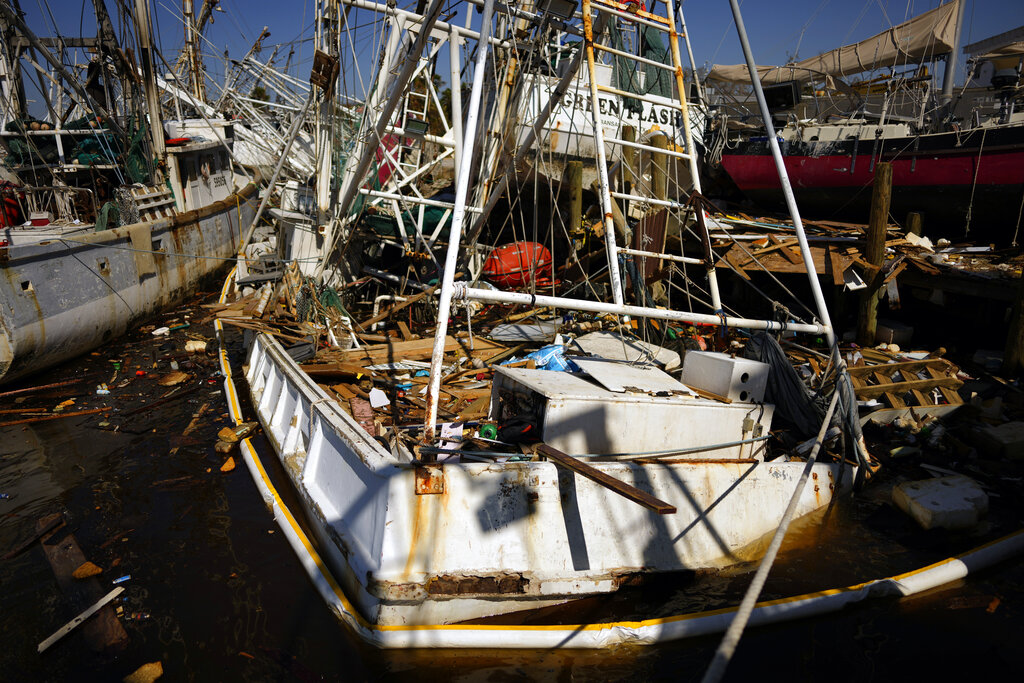 PHOTO & VIDEO: Florida shrimpers race to get battered fleet back to sea ...